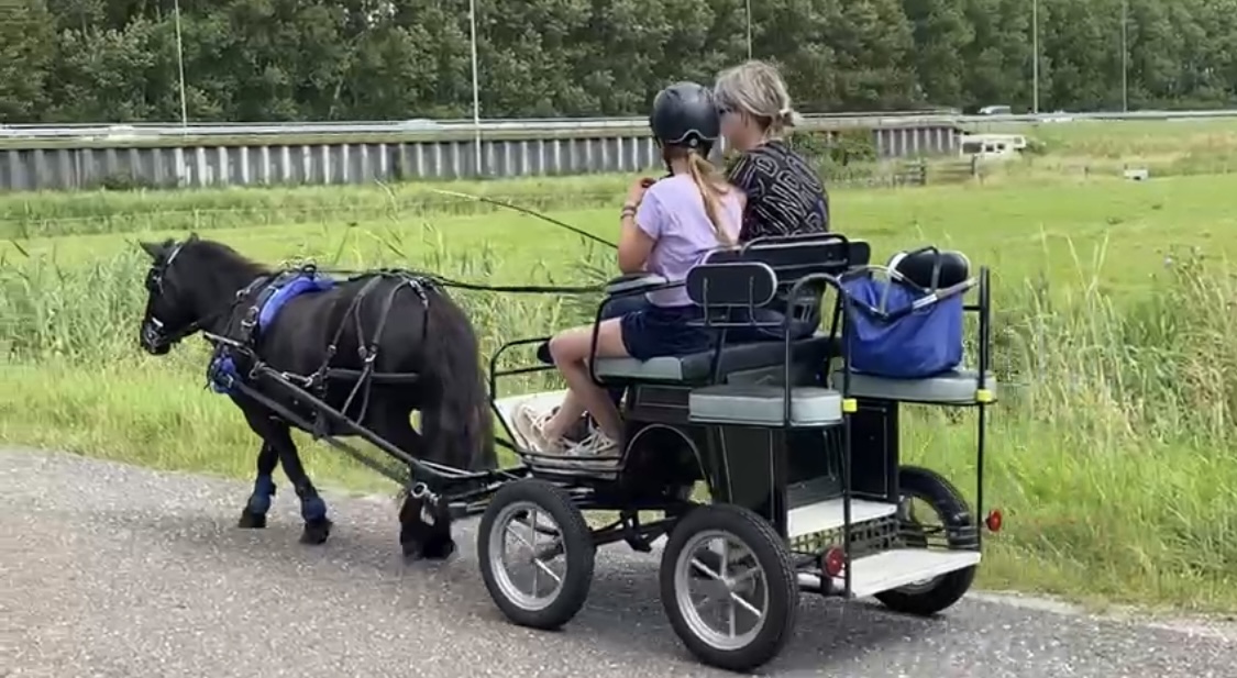 Shetlander menwagen/recreatiewagen uit de bekende Glinkowski | Bokt.nl