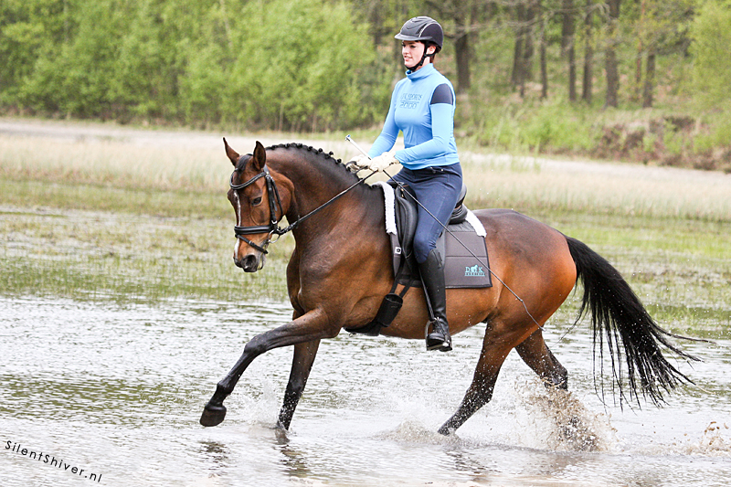 Te koop !!! prachtige NRPS merrie | Bokt.nl
