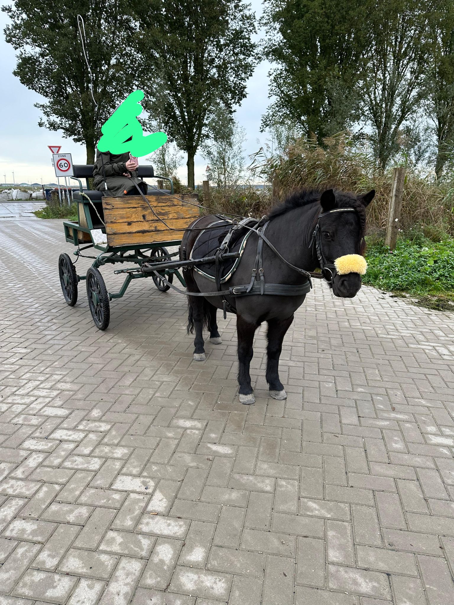 Leuke menwagen /ponywagen / concourswagen - pony | Bokt.nl