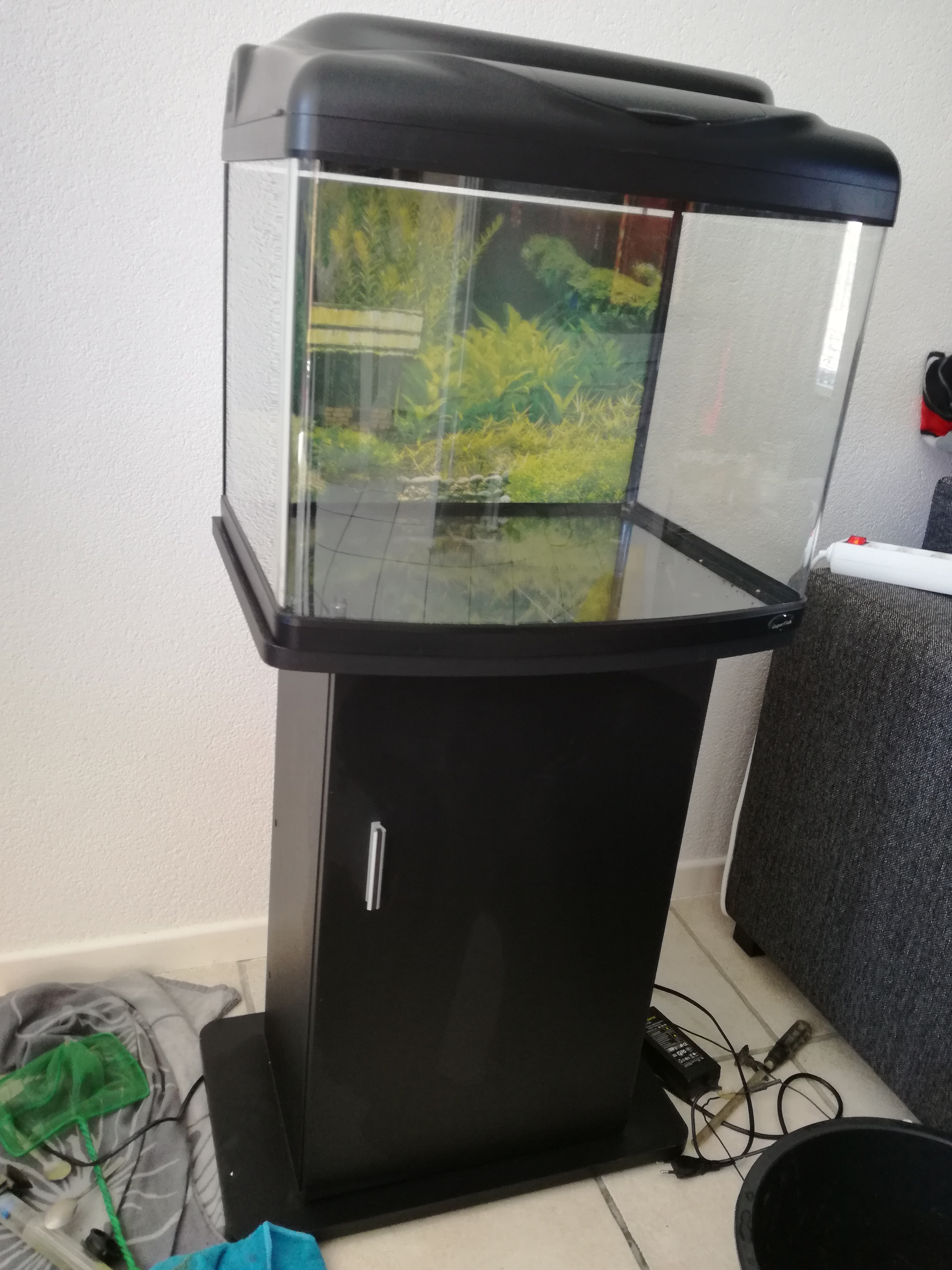 Mooi aqua60 aquarium compleet | Bokt.nl