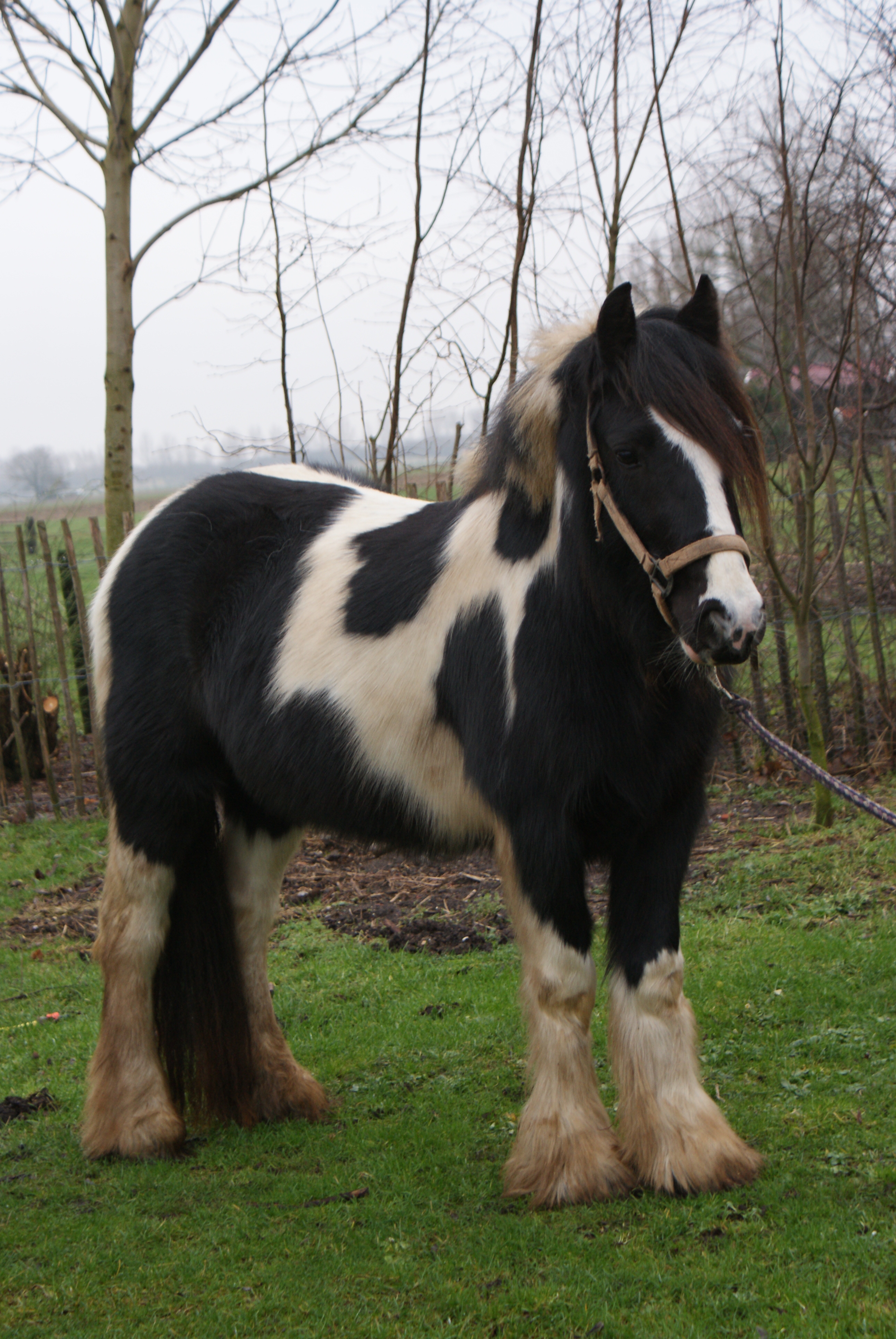 Goed thuis voor onze mini tinker Noreen | Bokt.nl