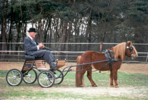 Sulky/mini wagen voor mini shetlander evt. ruilen | Bokt.nl