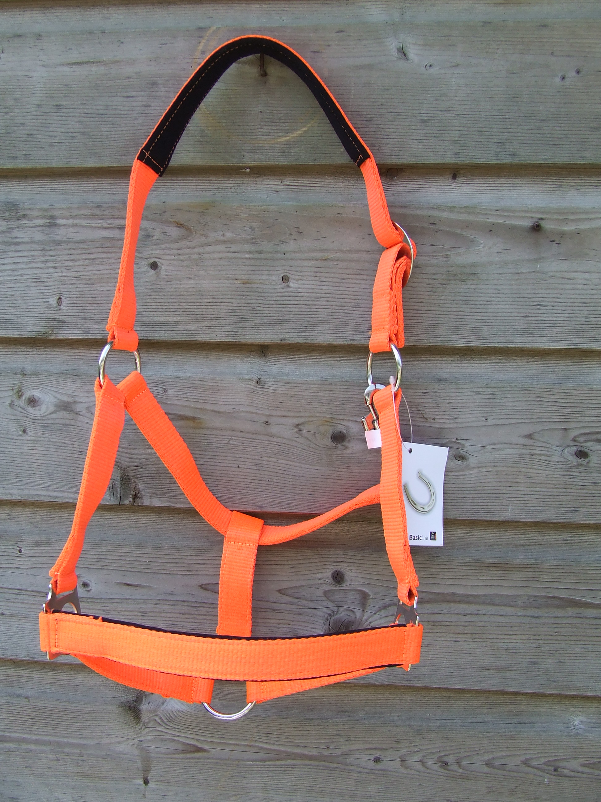 Vrolijke stevige zacht onderlegde Nylon Neon Halsters | Bokt.nl