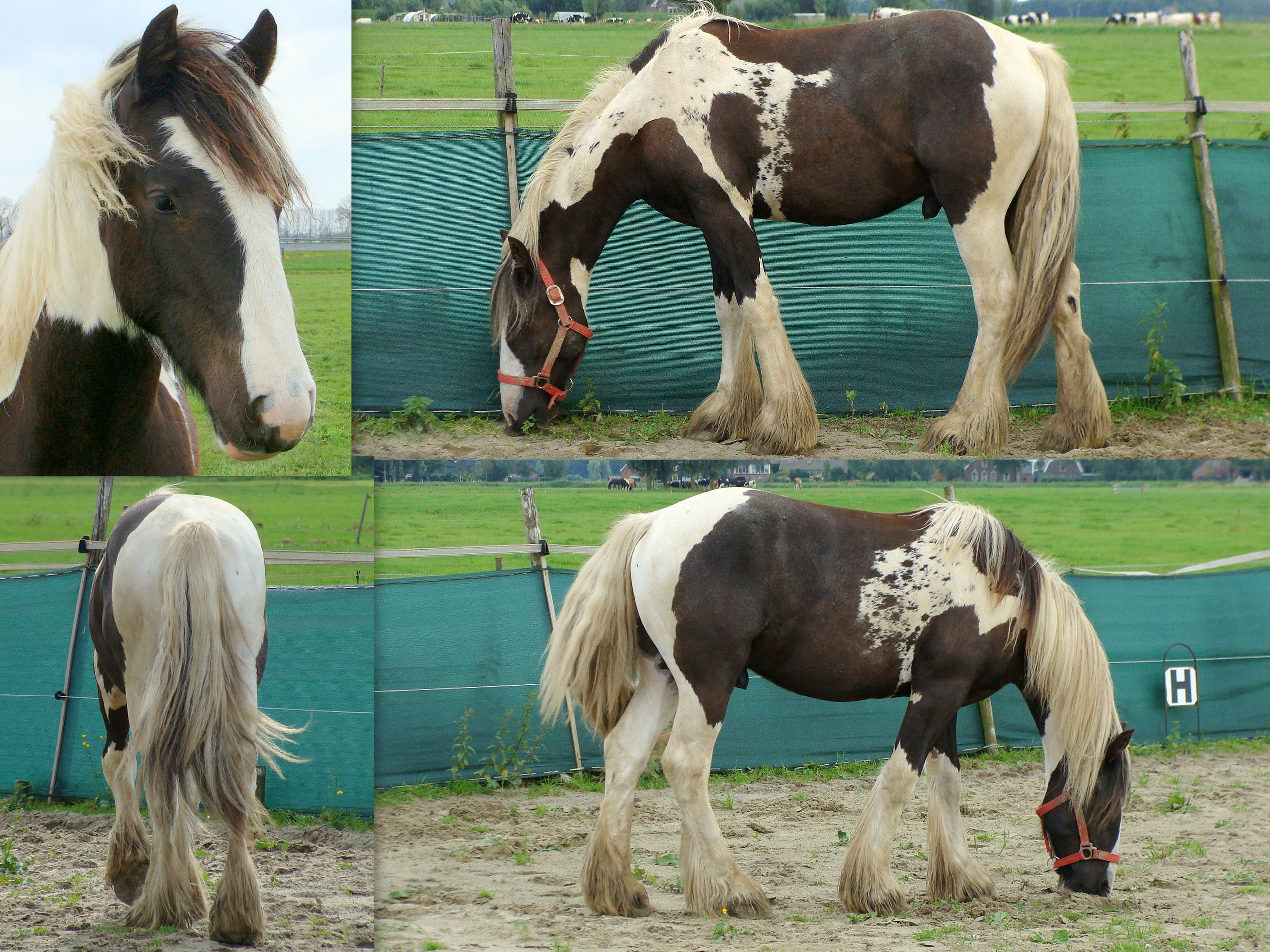 Diverse tinkers te koop | Bokt.nl