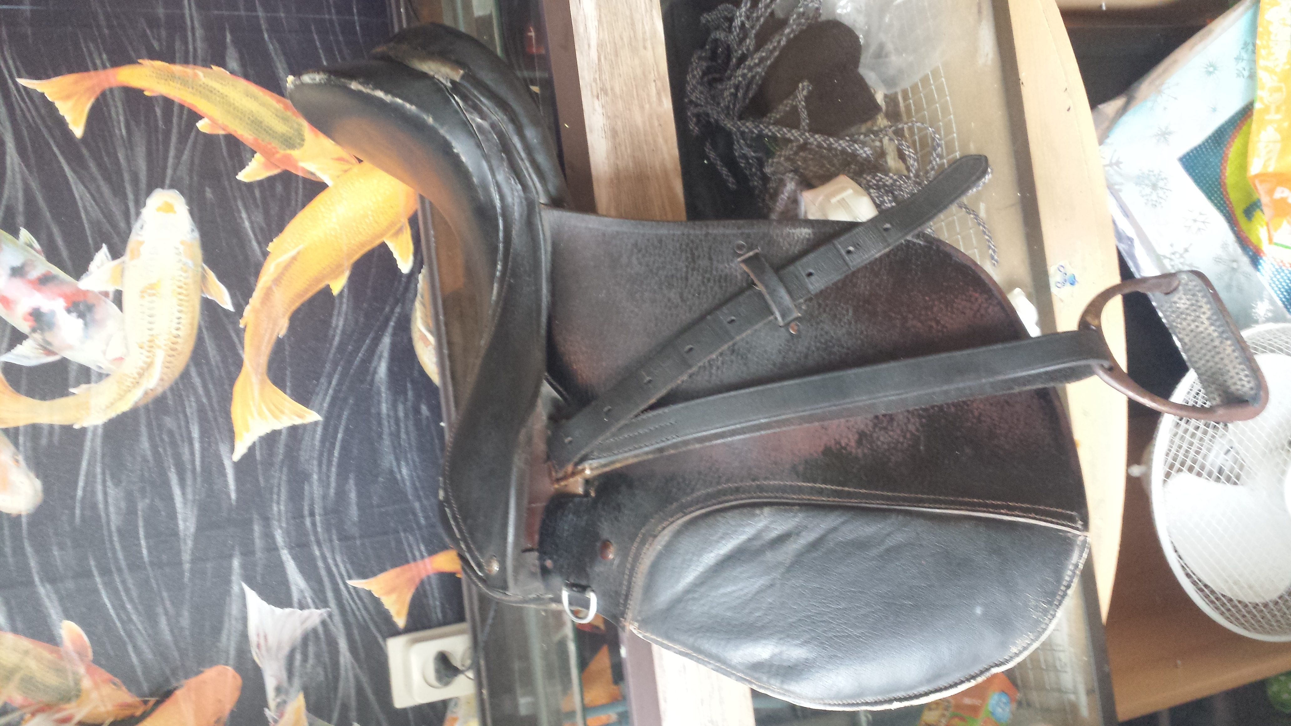 4 soorten zadels | Bokt.nl