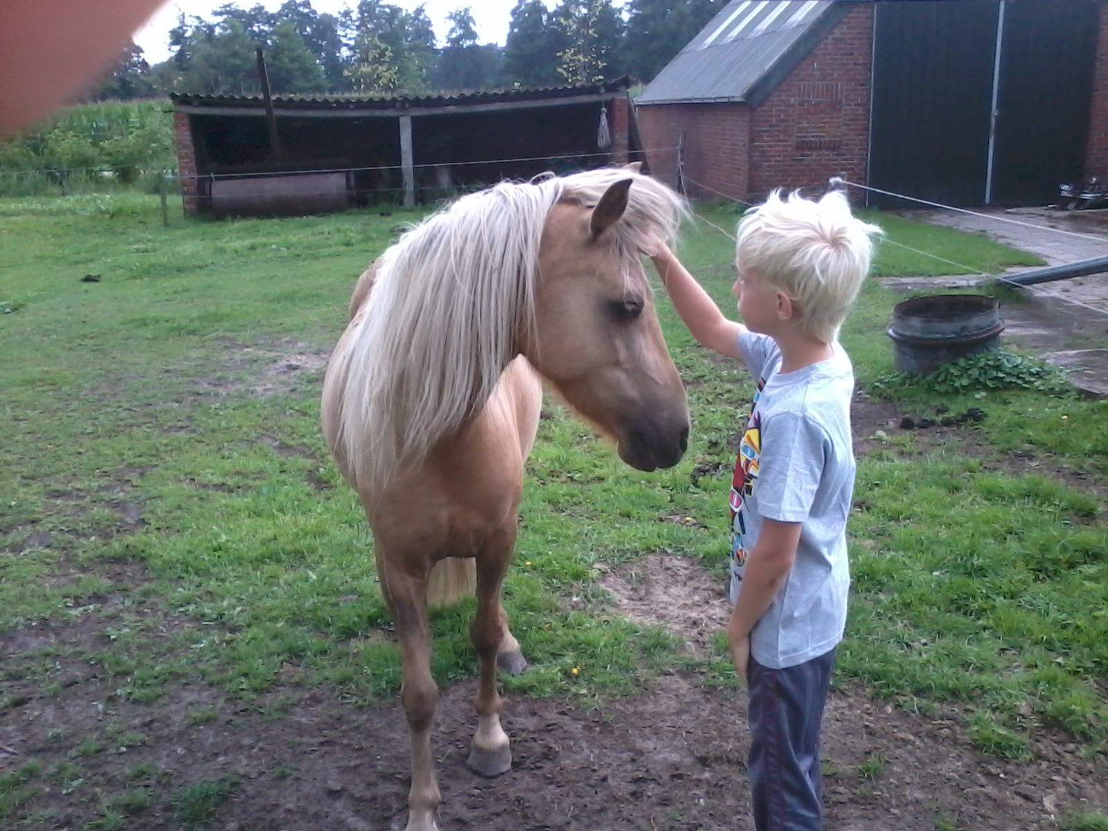 aangeboden makke kinder pony | Bokt.nl