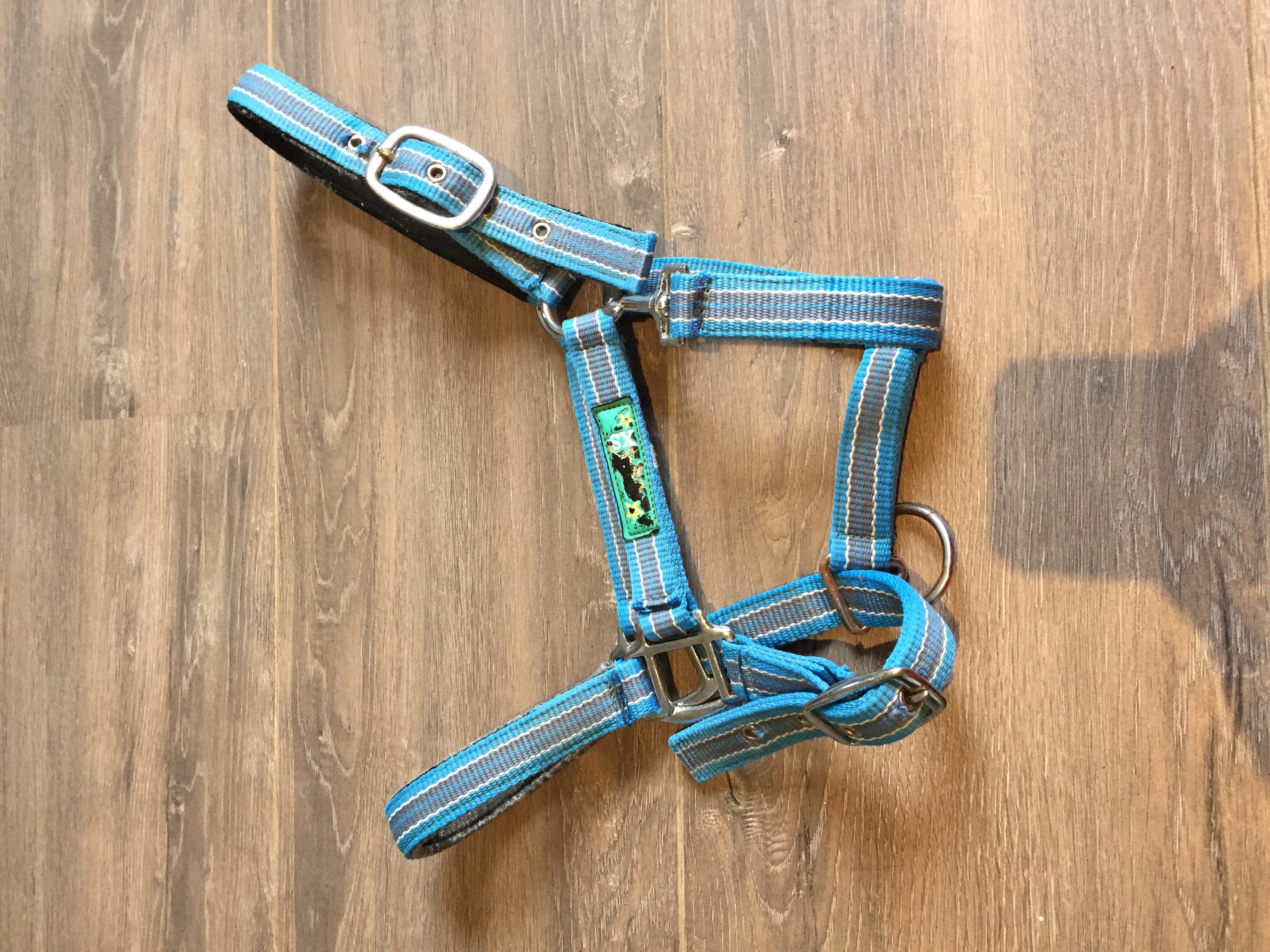 Schattig halster maat Pony | Bokt.nl