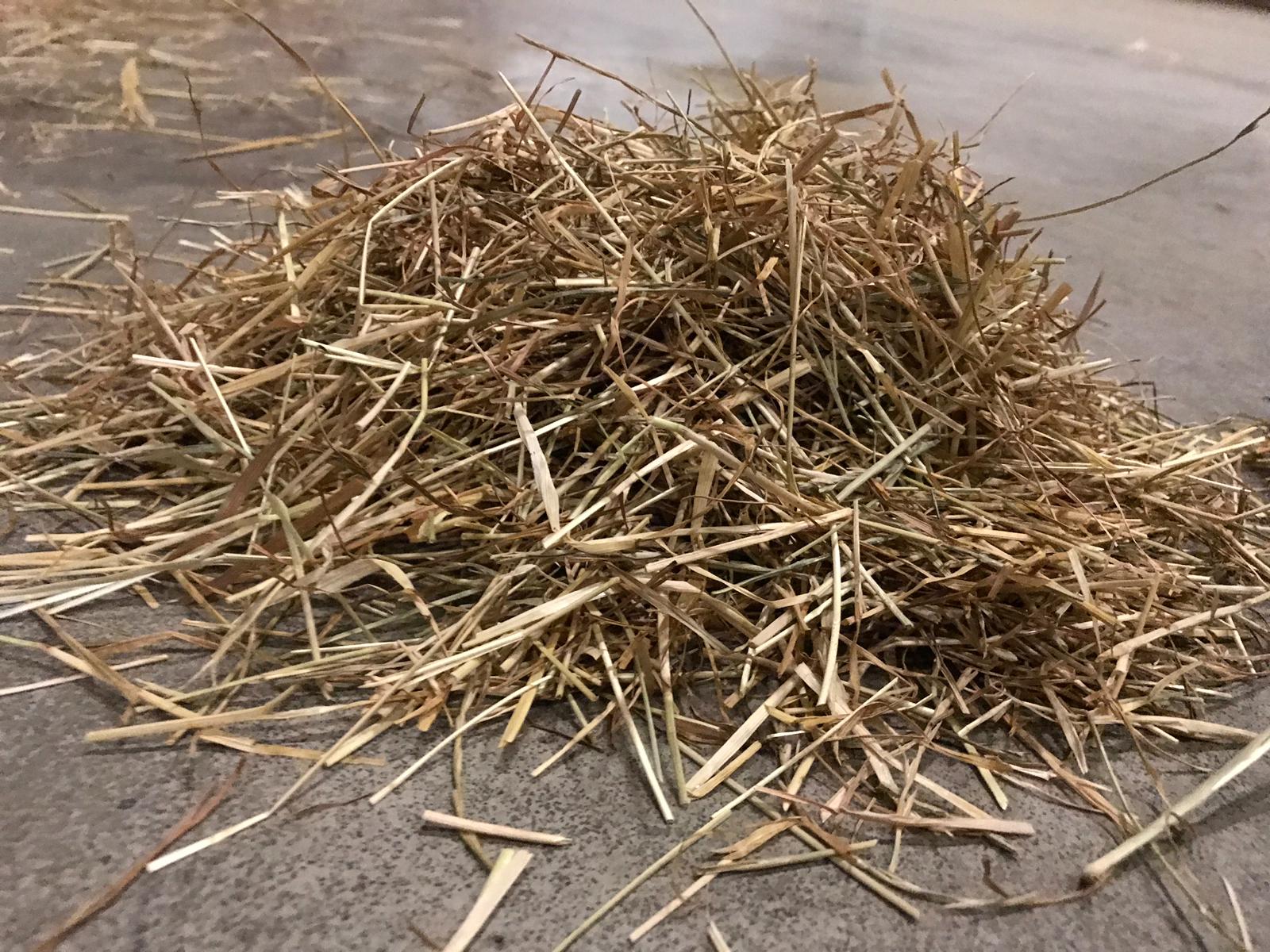 TE KOOP Engels raai graszaad hooi | Bokt.nl