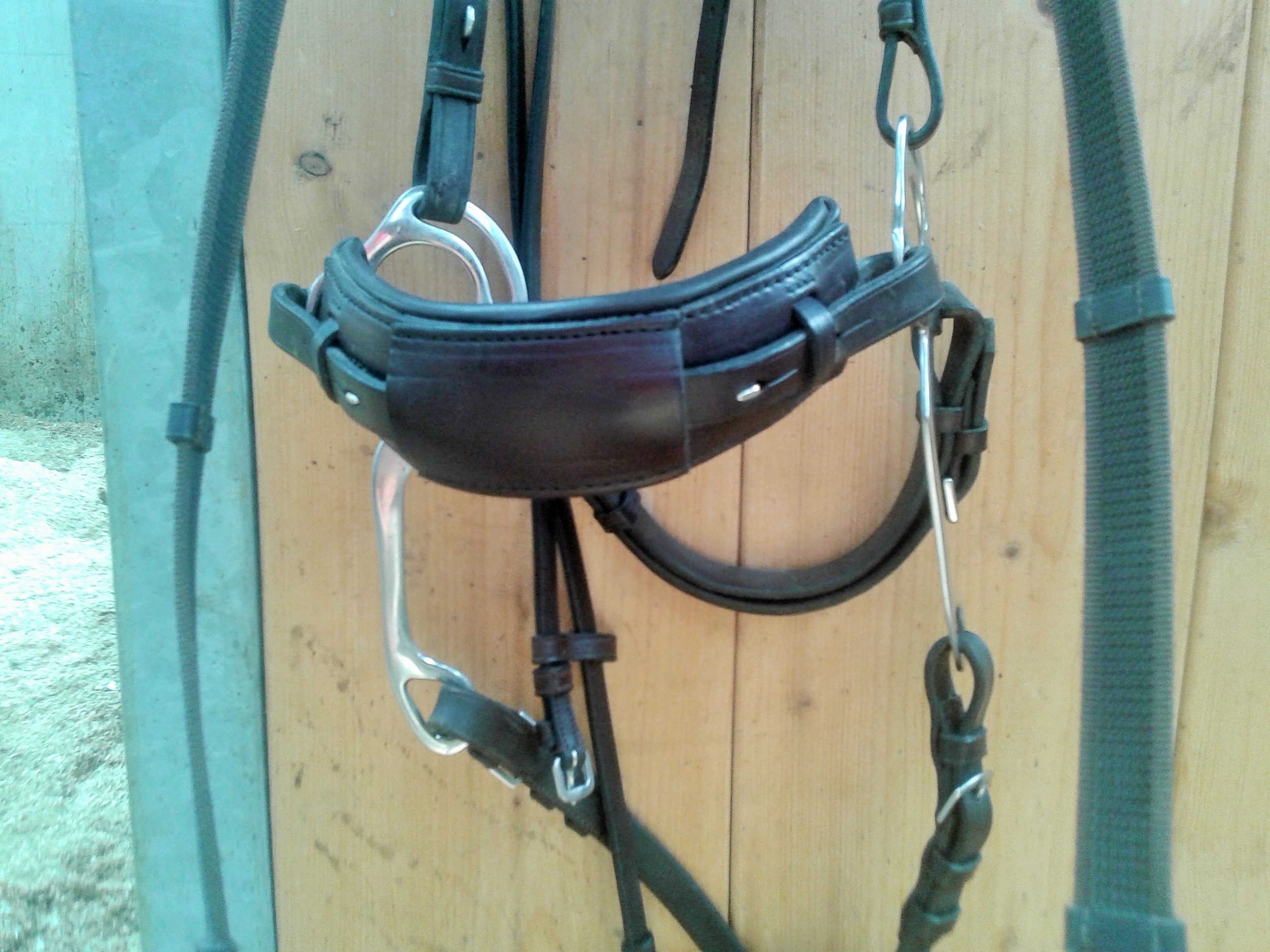 Stubben Hackamore en Dyon Hackamore hoofdstel, ZGN | Bokt.nl