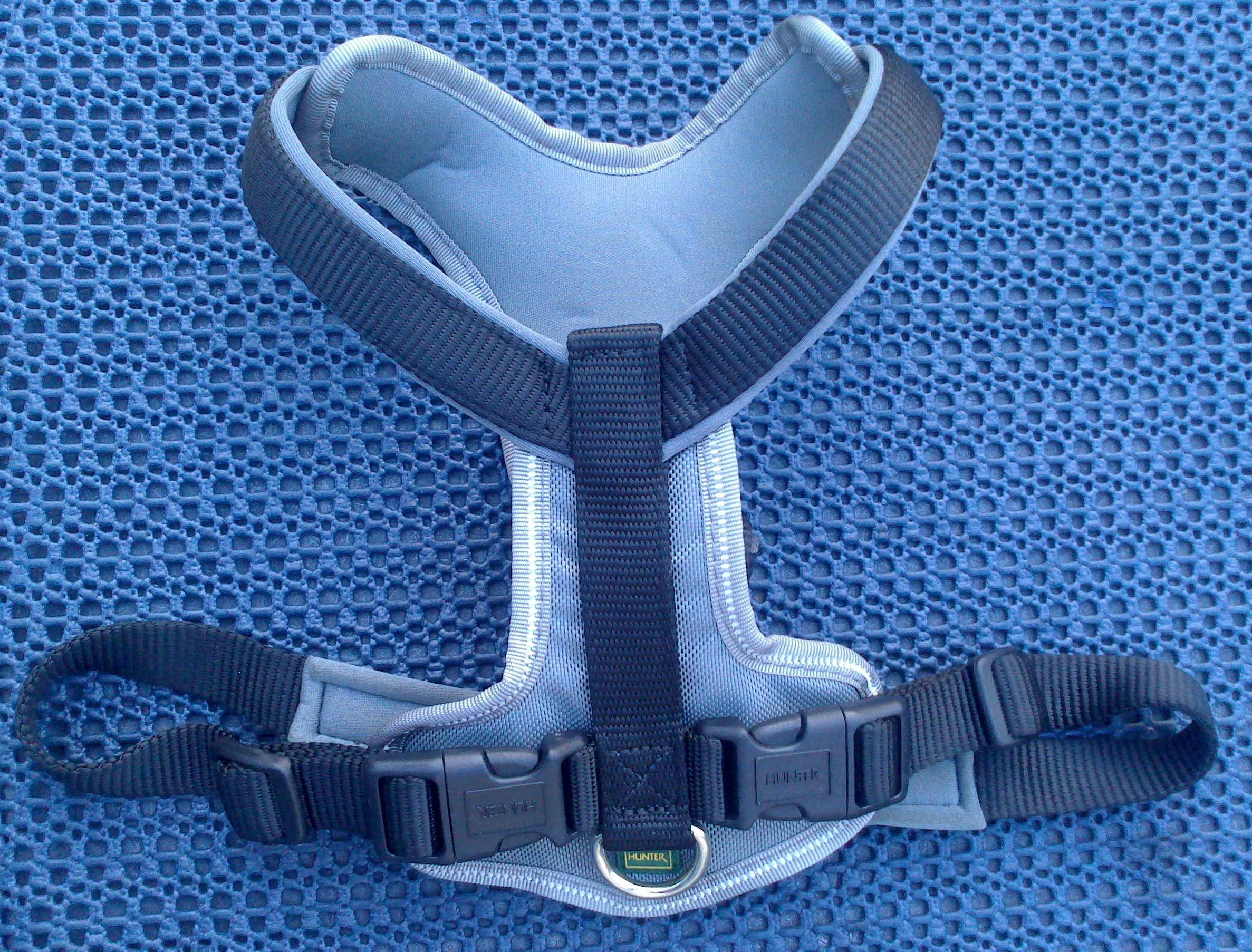 Hunter Neopreen tuigje & Perfect fit Harnas maat M | Bokt.nl