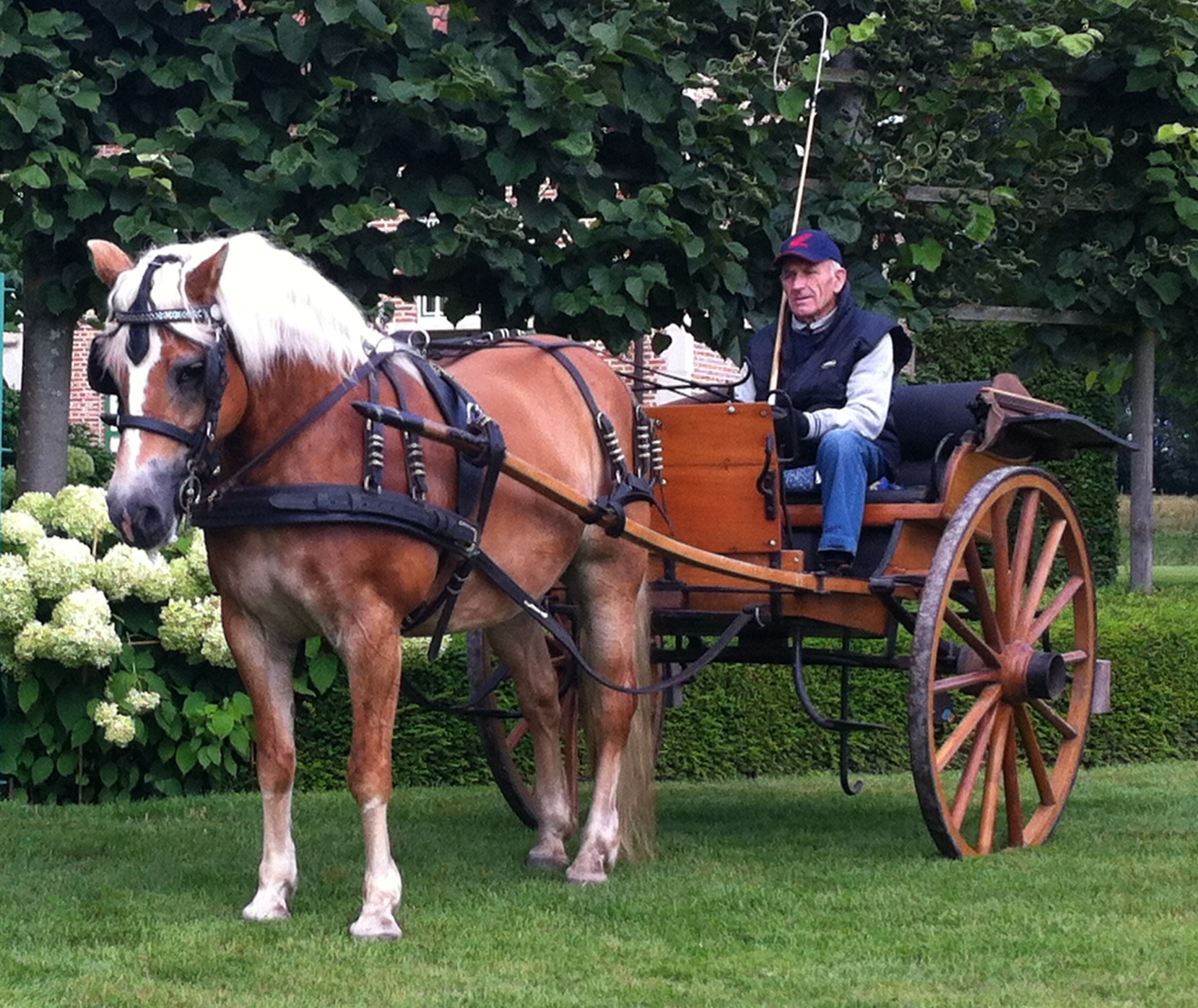 Antieke koets: Kortrijkse tilbury (enkelspan) | Bokt.nl