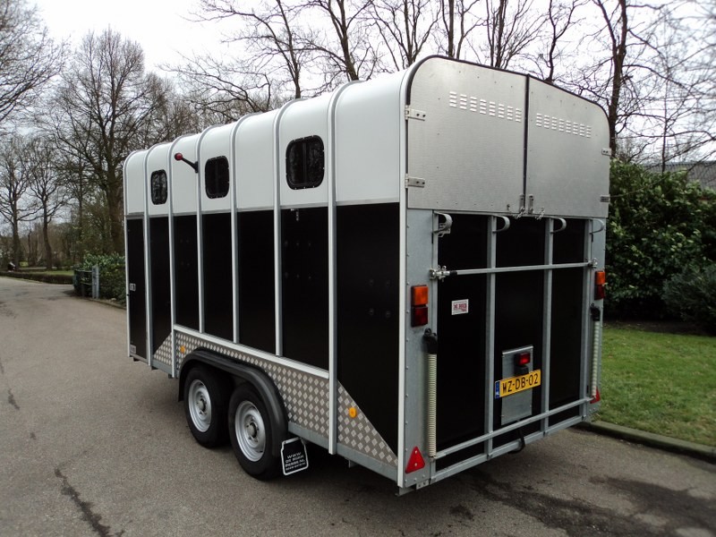 IFor Williams HB 610 3 paards paardentrailer | Bokt.nl