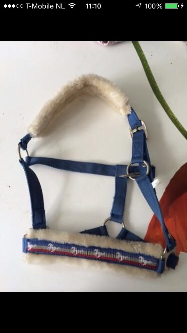 Blauw pony halster met bont | Bokt.nl