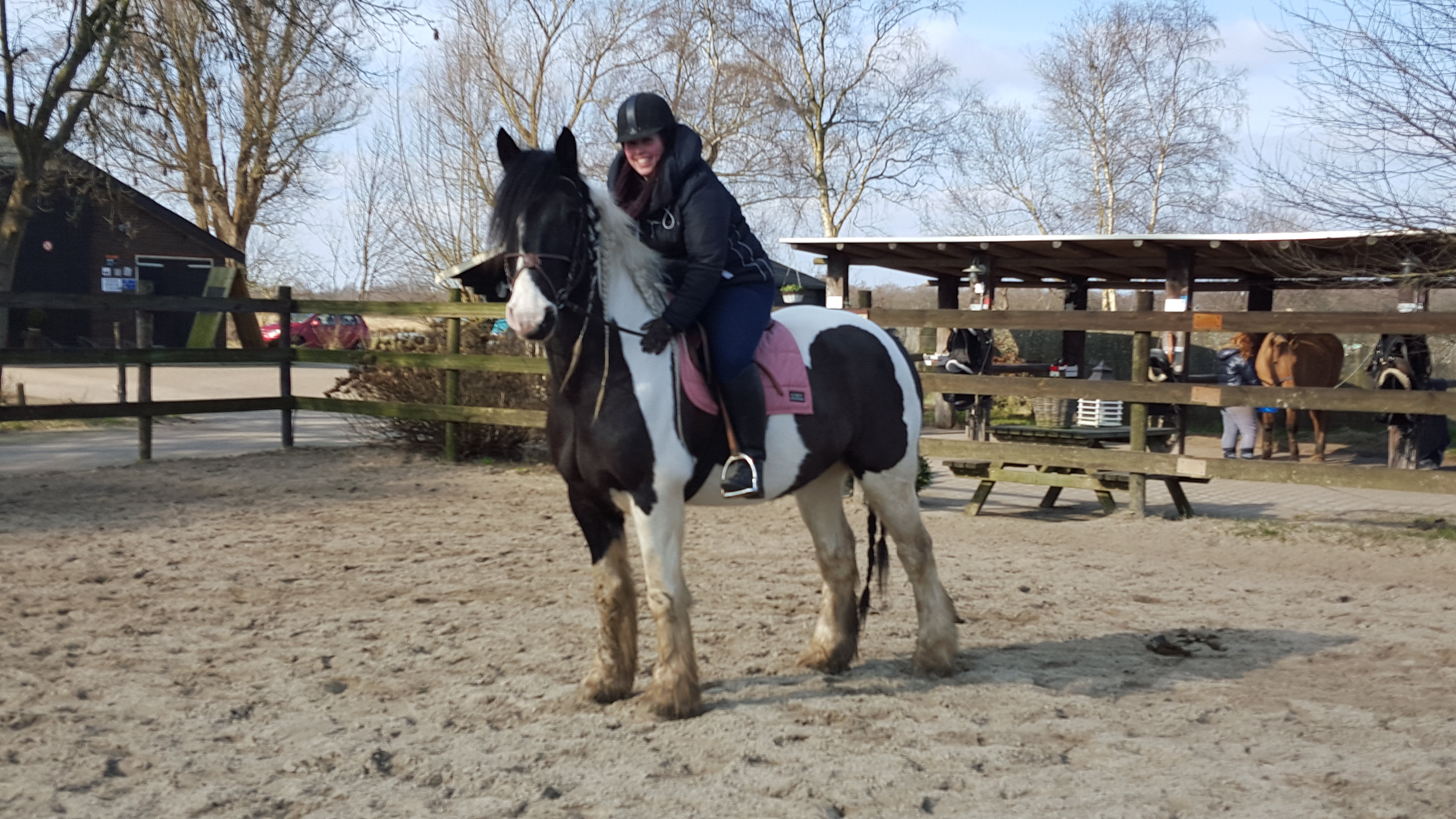 Bijrijder Gezocht In Wanneperveen Meppel Boktnl