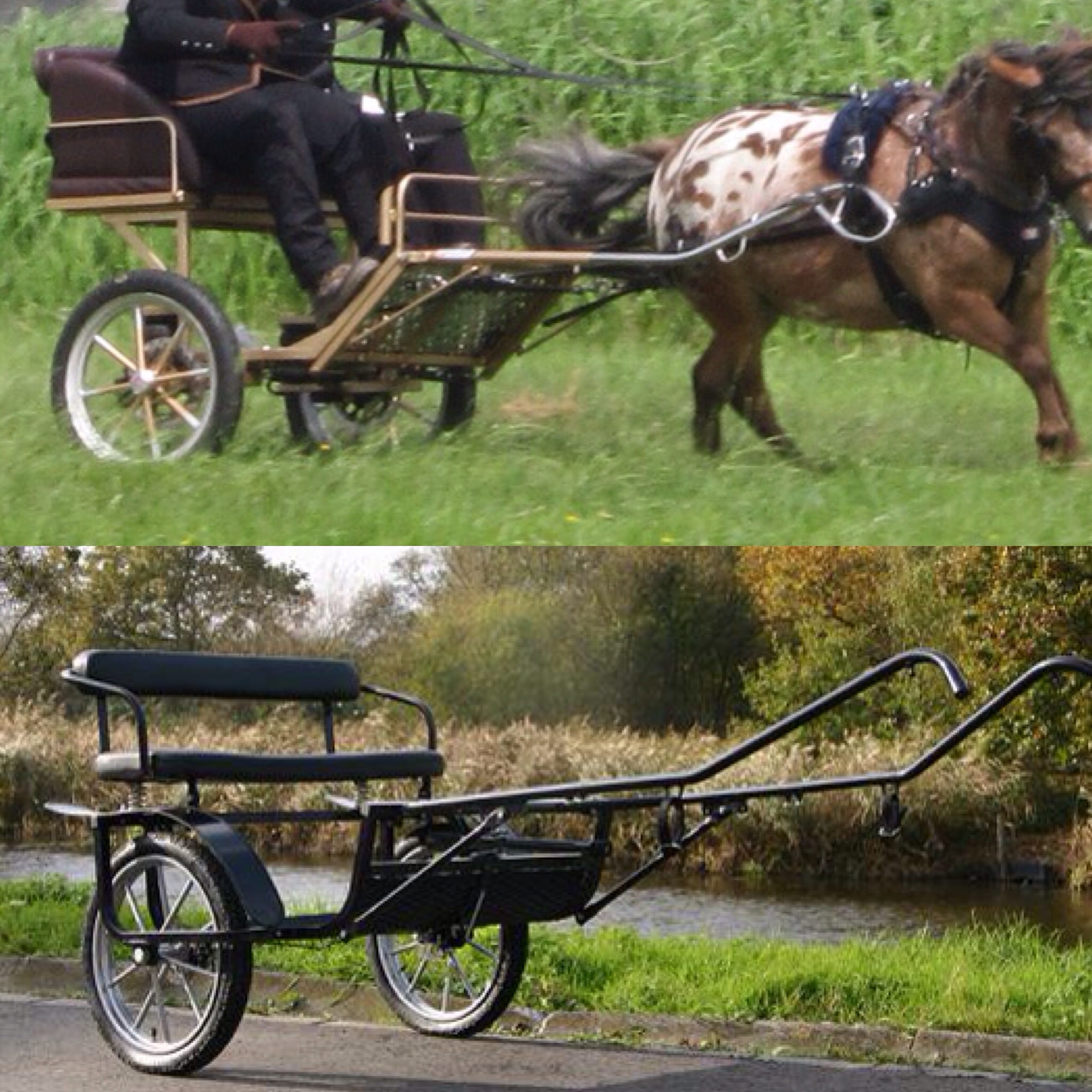 GEZOCHT! sulky mini shet | Bokt.nl