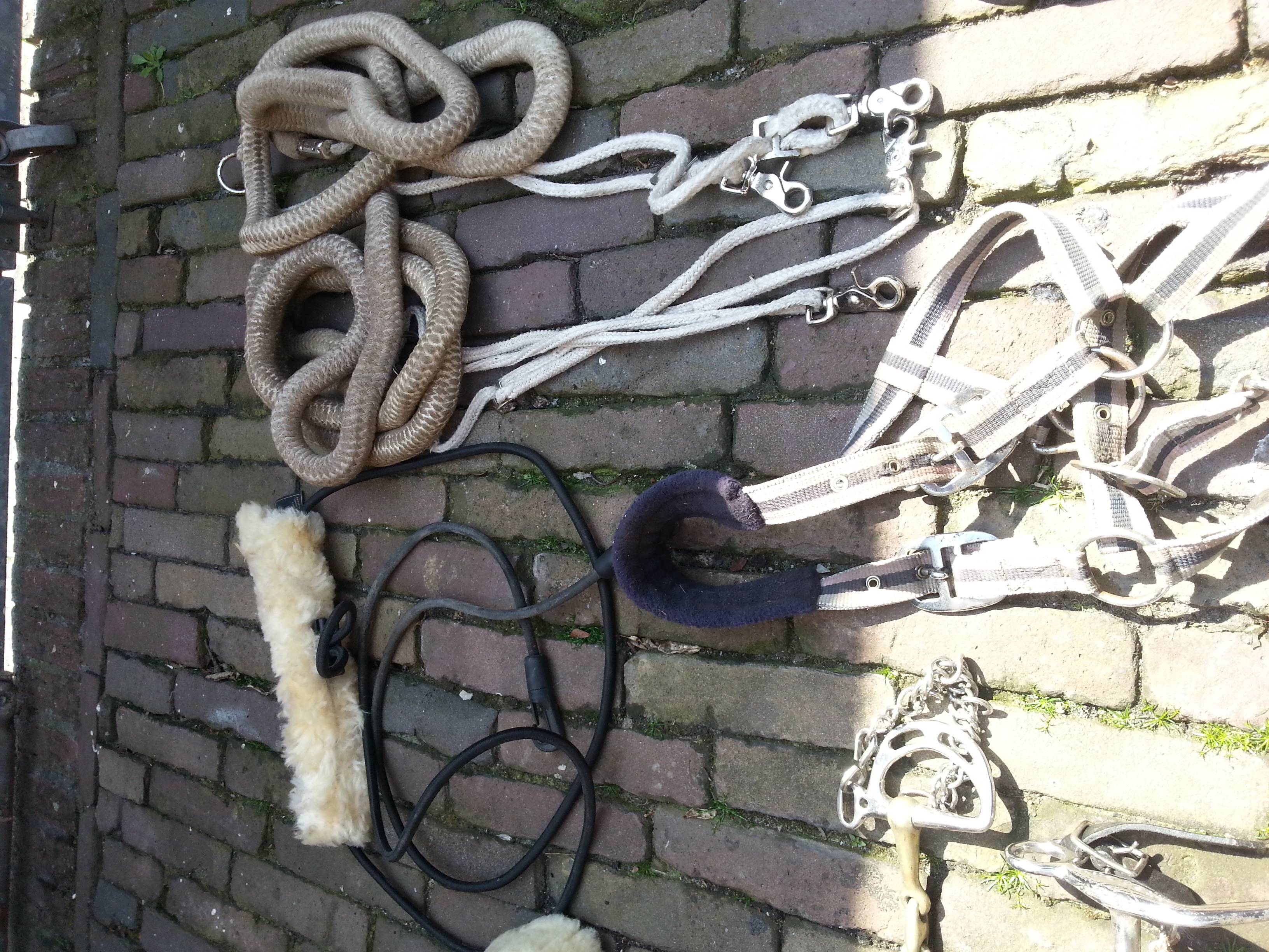 longeer spullen | Bokt.nl