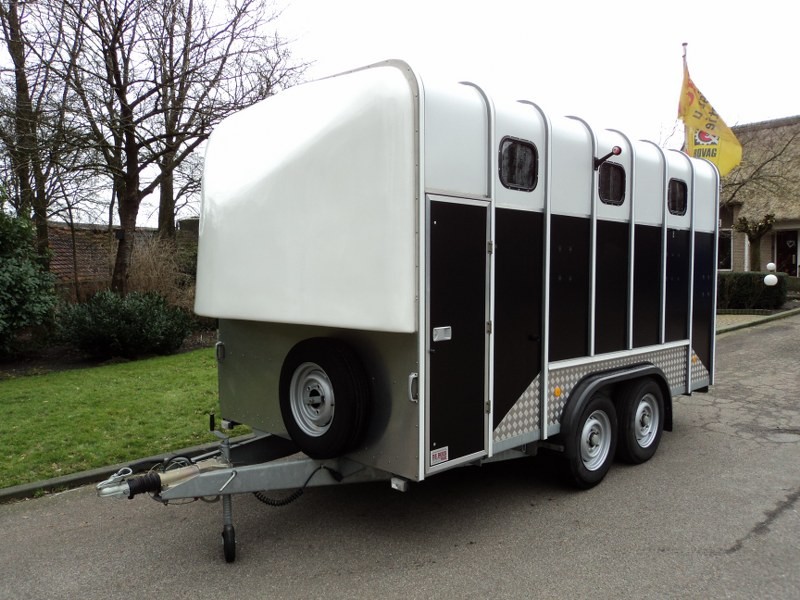 IFor Williams HB 610 3 paards paardentrailer | Bokt.nl