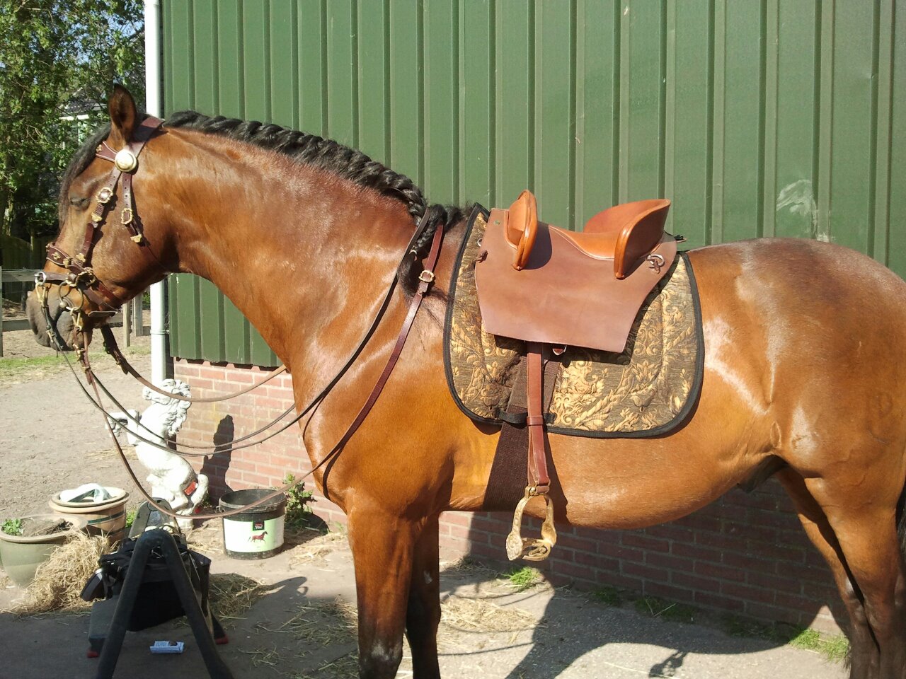 bruine Marjoman Riano, 17,5 inch spaans zadel compleet | Bokt.nl