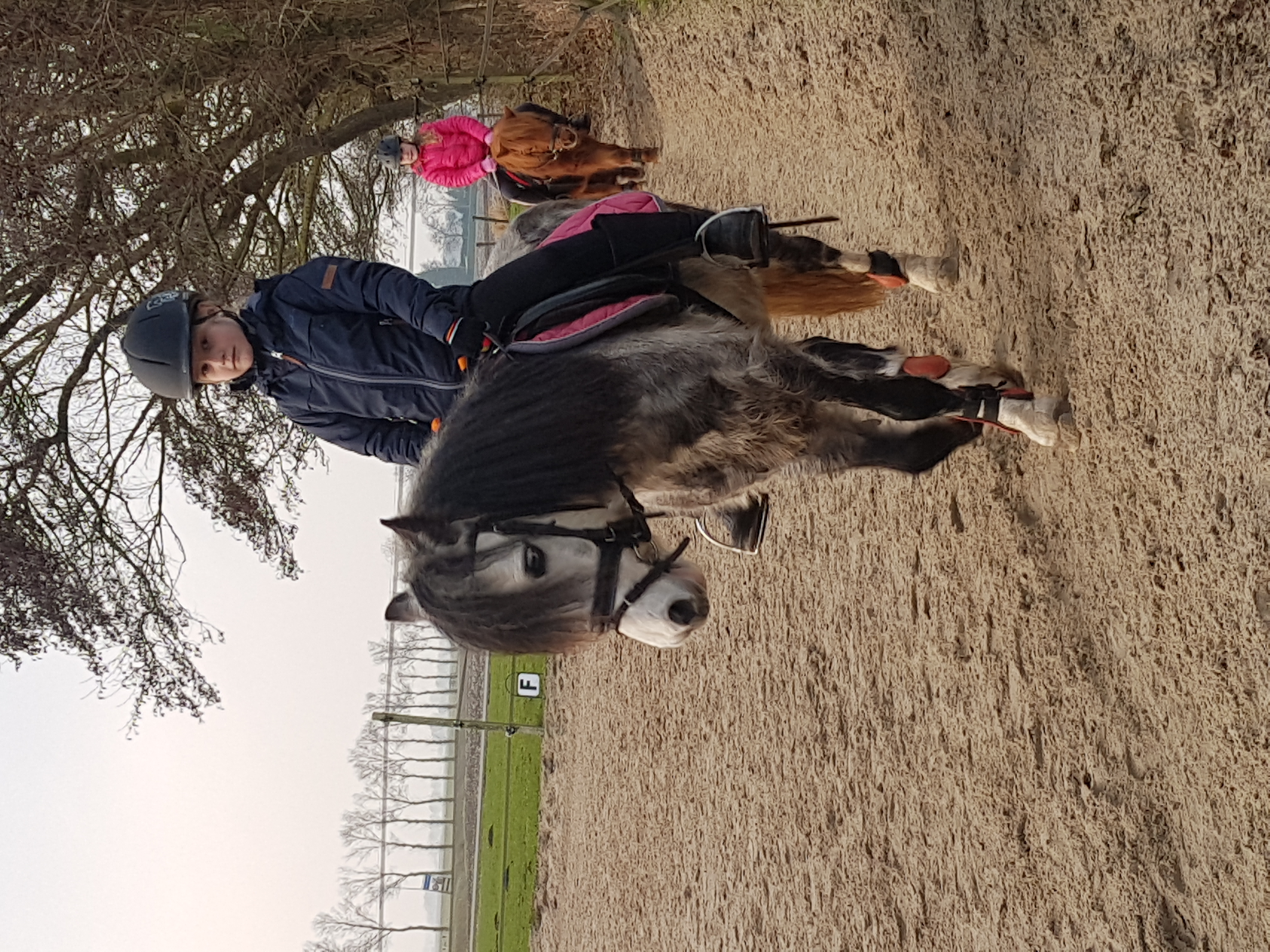 Super lieve Welsh A kinderpony merrie te koop | Bokt.nl