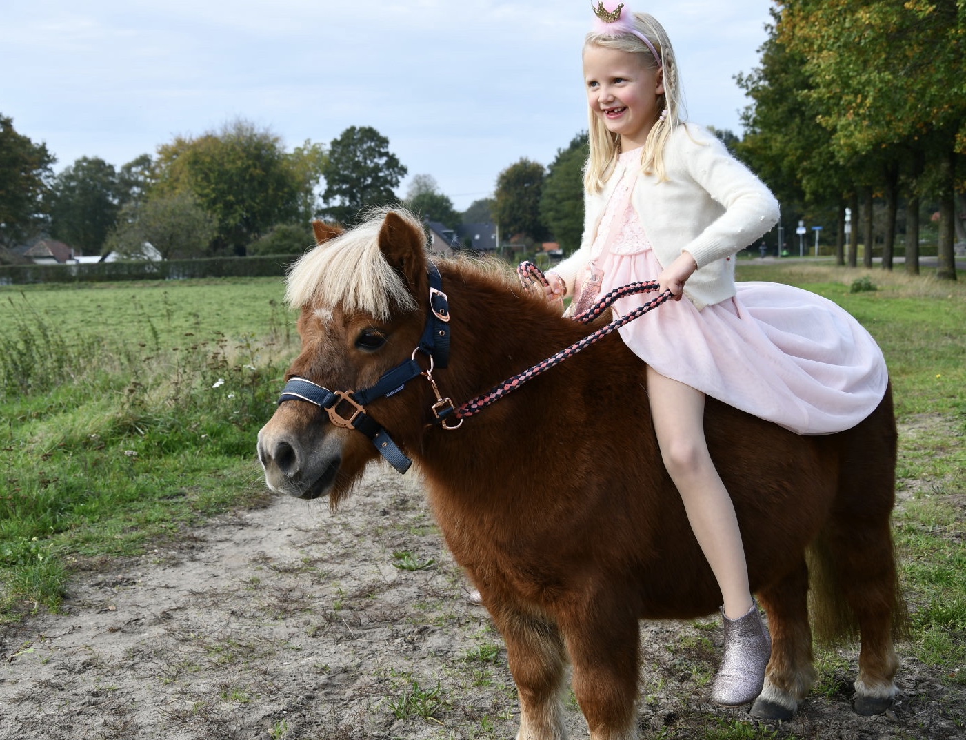 Lieve vos merrie kinderpony gezelschapspony Shetlander | Bokt.nl