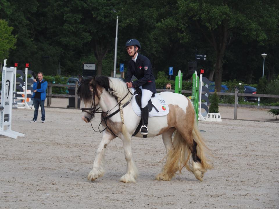 UNIEKE mooie grote sport tinker merrie! | Bokt.nl