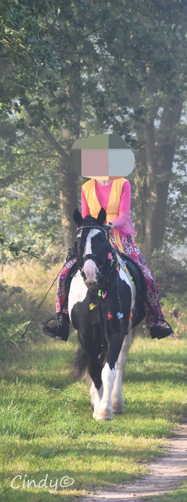 Super brave 14 jarige tinker | Bokt.nl