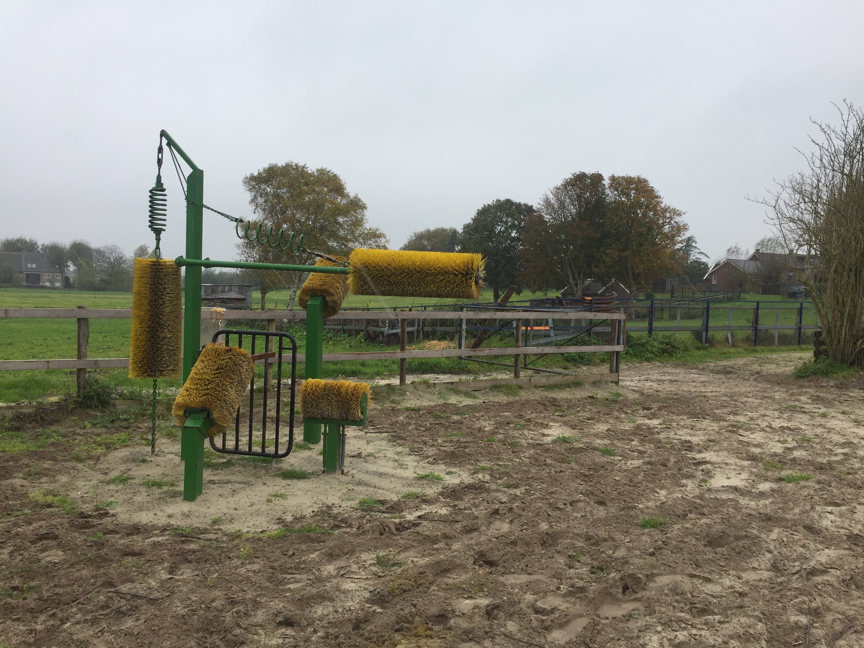 Waverveen paddock paradise rustige plek | Bokt.nl