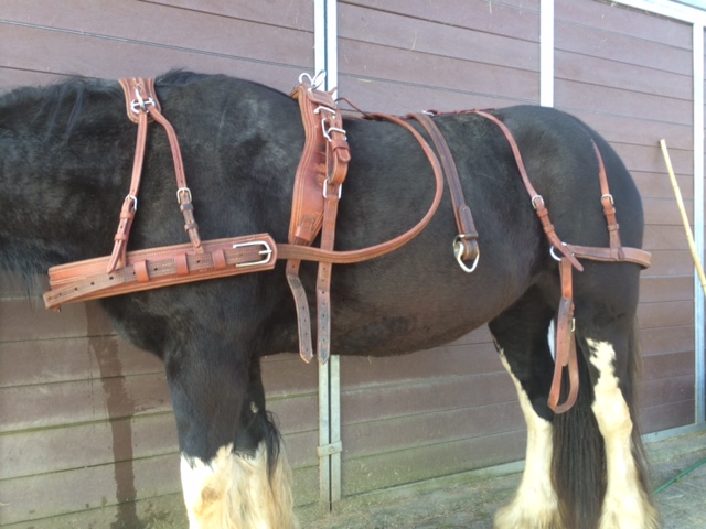 Bruin men tuig maat full | Bokt.nl