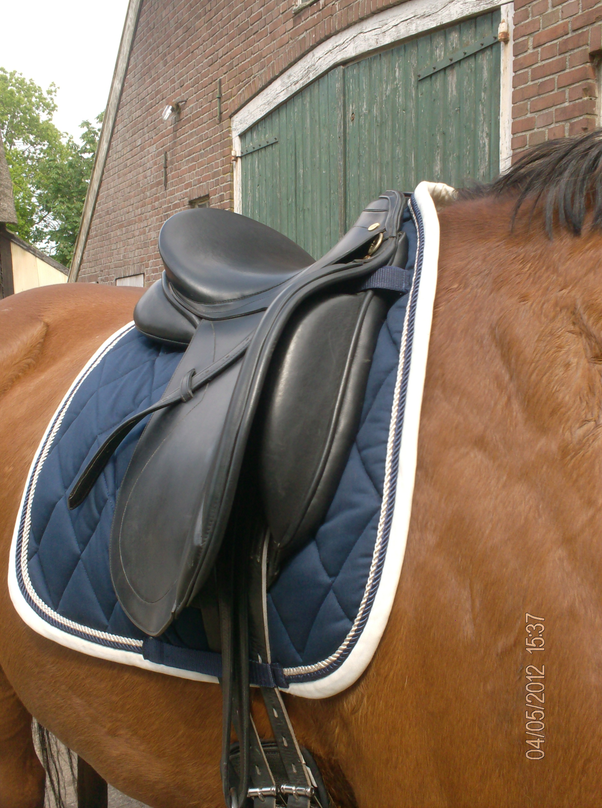 super mooi kentaur elektra dressuur zadel 17 inch | Bokt.nl