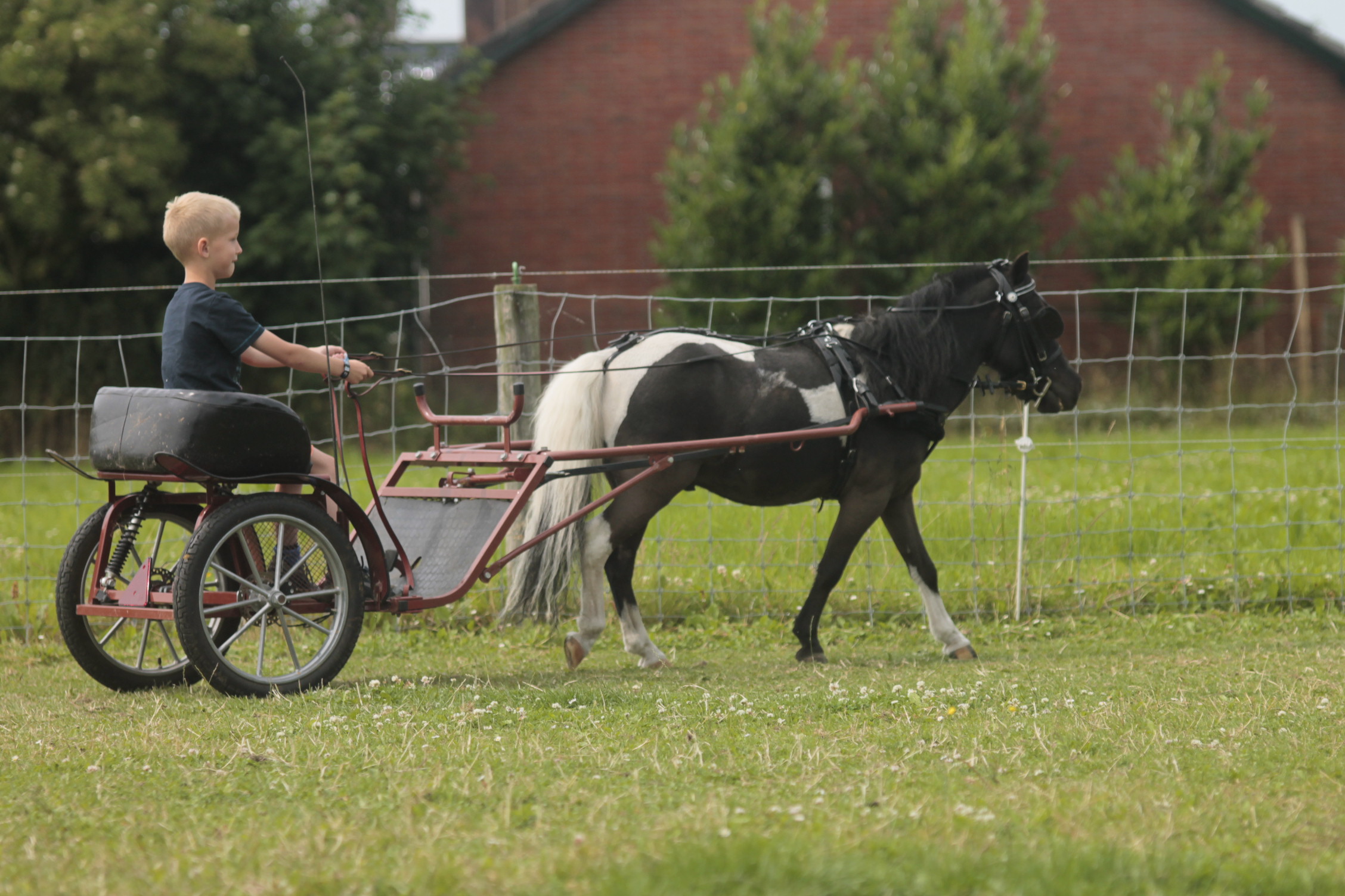 Pirouette sulky voor mini's | Bokt.nl