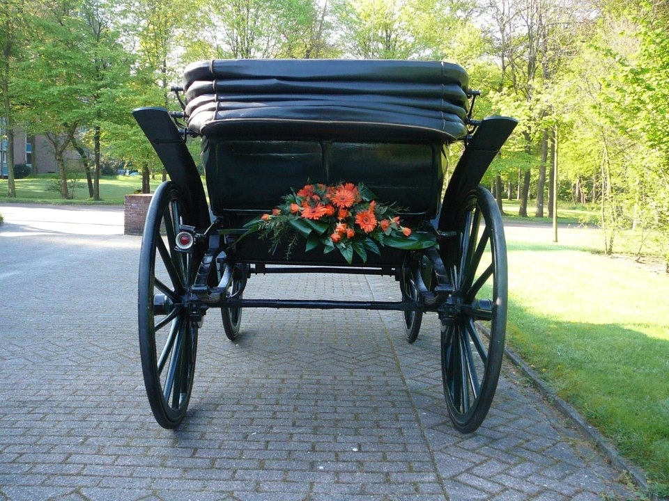 Trouwkoets met Friese paarden te huur | Bokt.nl