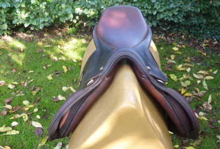 Pessoa Rodrigo pony sprinzadel bruin 15'5 inch | Bokt.nl