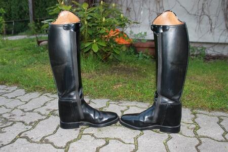 cavallo piaffe plus mit swarovski 3 1/2 | Bokt.nl