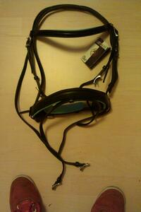 Nieuw HH switch hoofdstel mt pony, met 5 vrolijke kleuren! | Bokt.nl