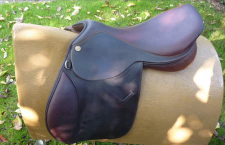 Pessoa Rodrigo pony sprinzadel bruin 15'5 inch | Bokt.nl