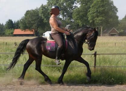 Brave Arabo Fries cool karakter | Bokt.nl