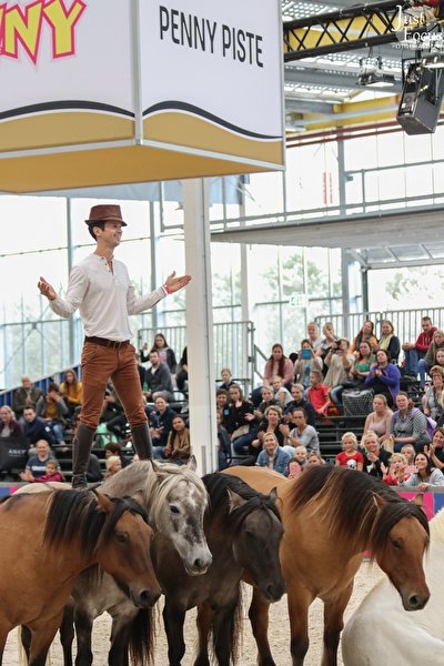 Pierre Fleury - Paarden-encyclopedie