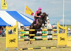 Tinker - Paarden-encyclopedie