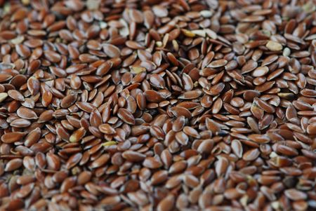 Lijnzaad - Paarden-encyclopedie