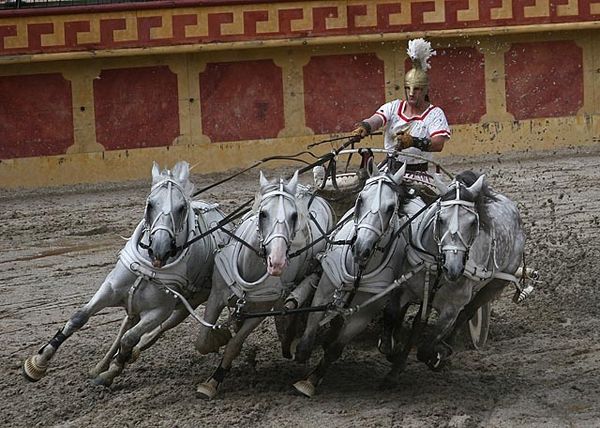 Romeinen - Paarden-encyclopedie