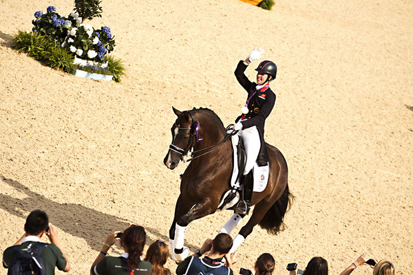 Valegro - Paarden-encyclopedie