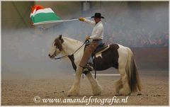 Tinker - Paarden-encyclopedie