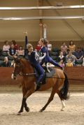 Voltige - Paarden-encyclopedie