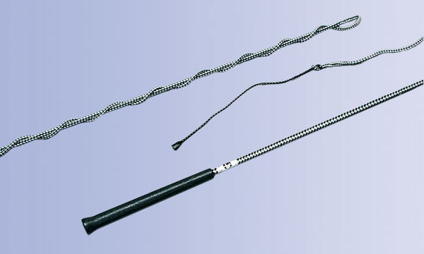 Zweep - Paarden-encyclopedie