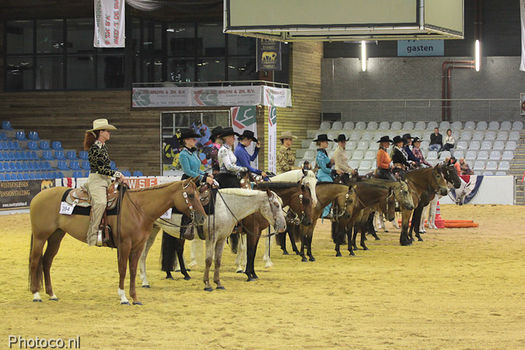 Western horsemanship - Paarden-encyclopedie