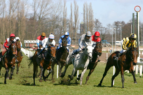Rensport - Paarden-encyclopedie