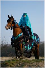 Arabier - Paarden-encyclopedie