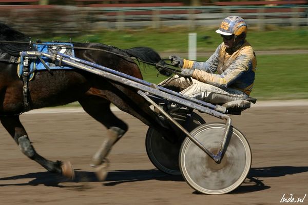 Sulky - Paarden-encyclopedie