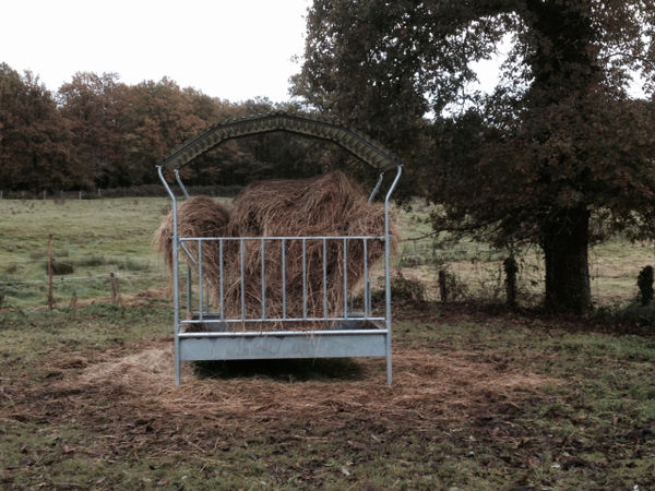 Hooi - Paarden-encyclopedie
