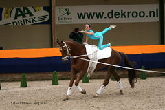 Voltige - Paarden-encyclopedie